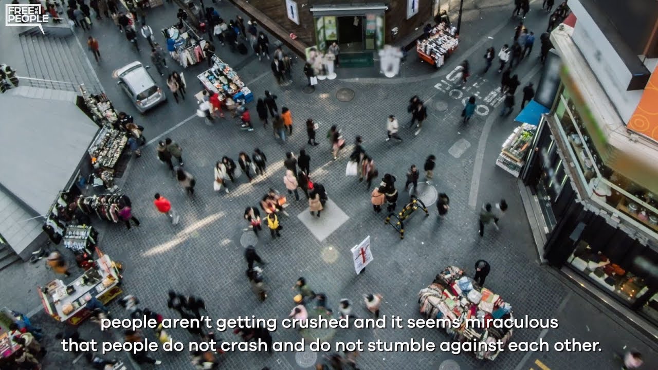 What is Spontaneous Order?